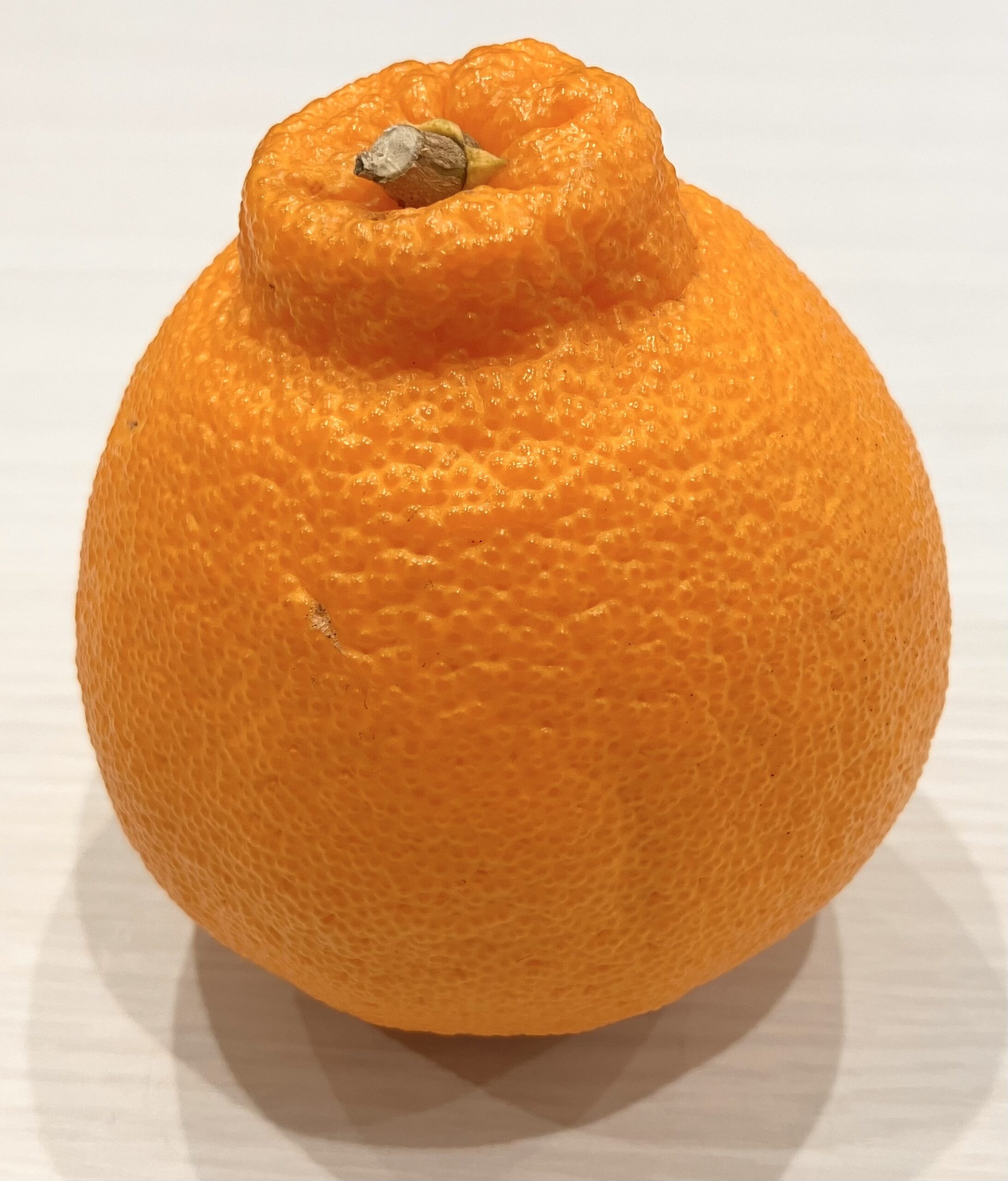 その他 | 30代家庭持ち会社員がサイドFIREするまでの道のり｜dekopon